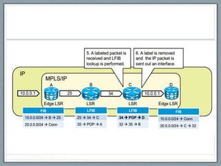MPLS | PDF | Computer Networking | Computing