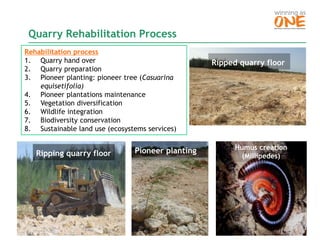 Albert Musando - Mining & Environmental Management: Successful ...