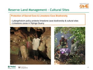 Albert Musando - Mining & Environmental Management: Successful ...