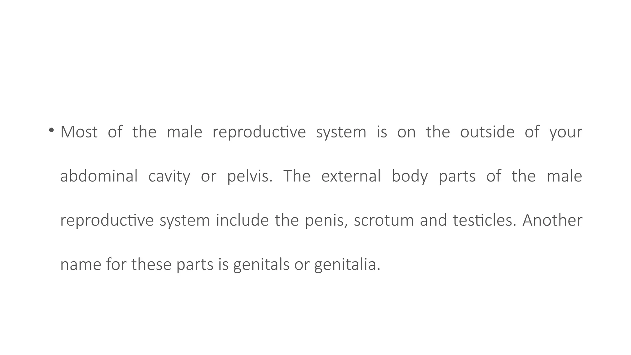 male reproductive system (BSc nursing (n) | PPTX