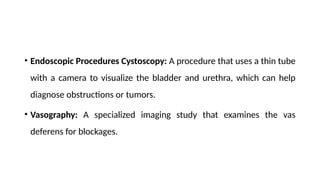 male reproductive system (BSc nursing (n) | PPTX