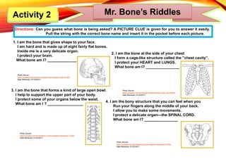 Mr. James Bone (The Master Architect of the Body) (1).pptx