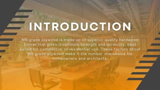 MR-Grade Plywood.pptx