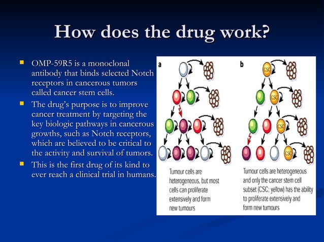 Anti-cancer stem cell drug starts clinical trials | PPT