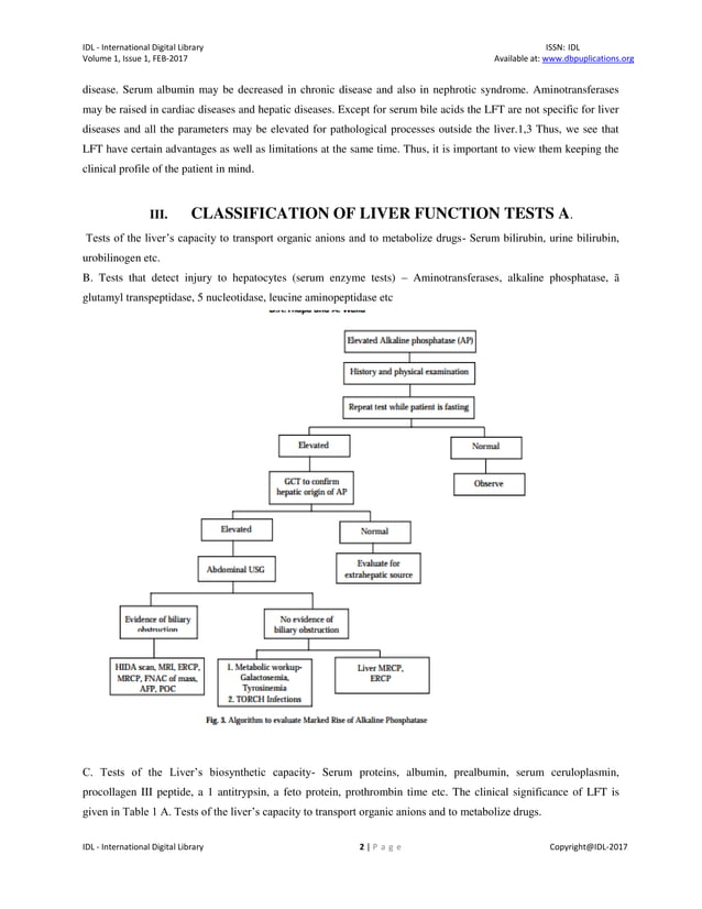 Liver Function Tests and their Interpretation | PDF | Blood Disorders ...
