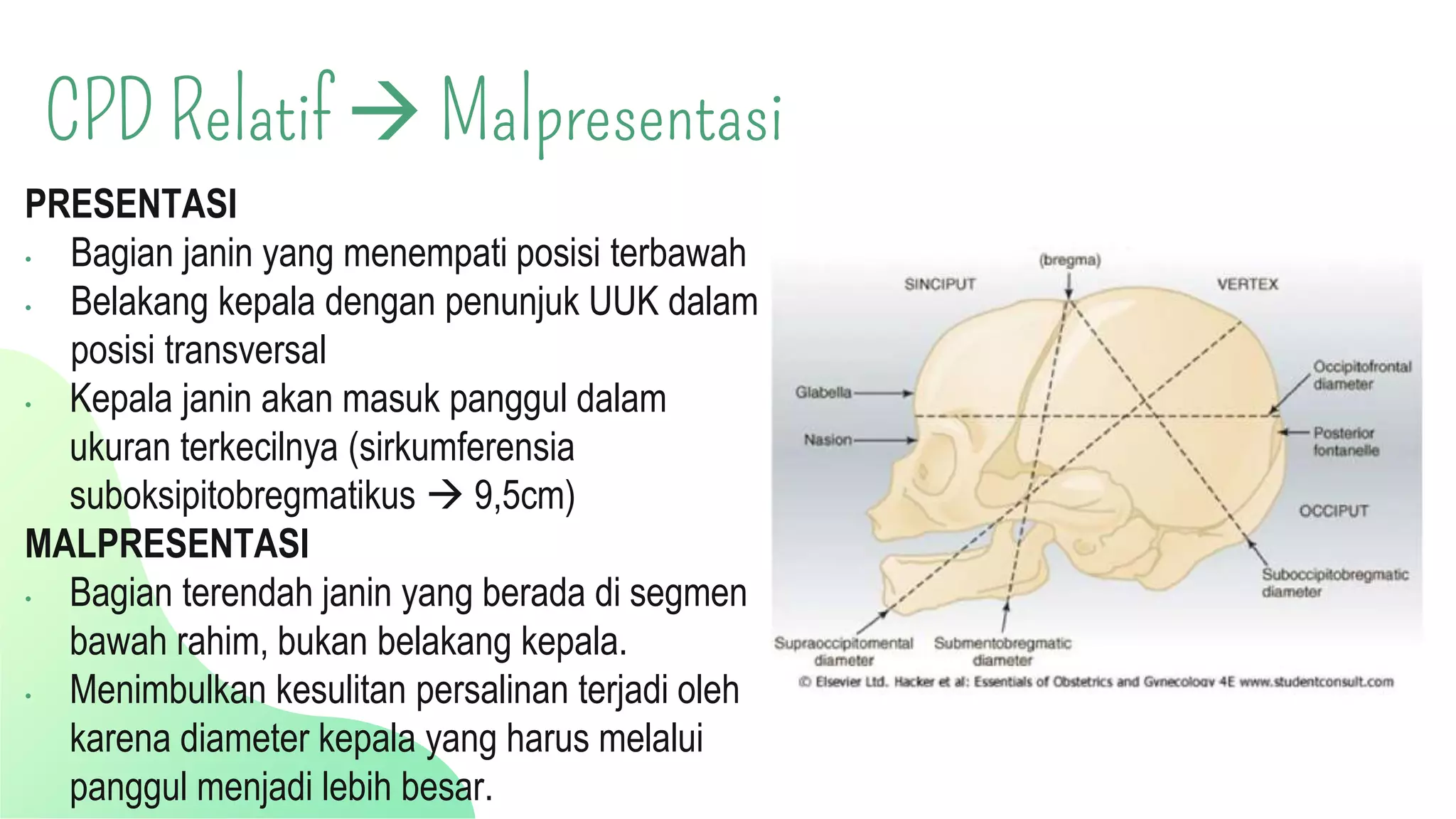 MR 2. RS ALFATAH (1).pptx