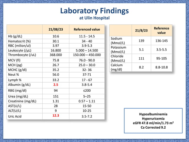 MR 21 Agu - GNAPS.pptx