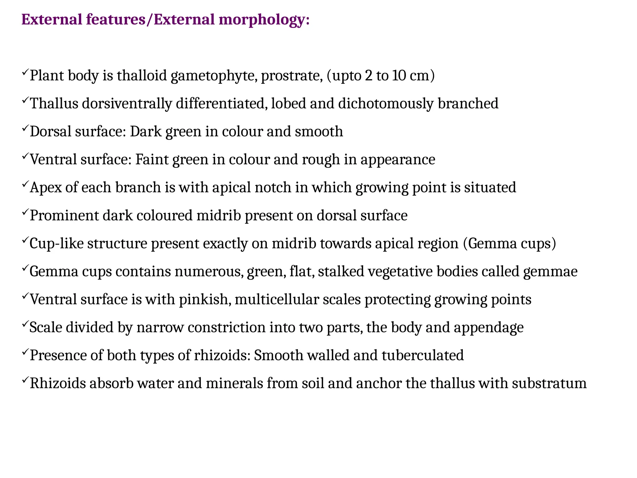 Life cycle of Mrachantia plant belonging to Hepaticopsida .ppt