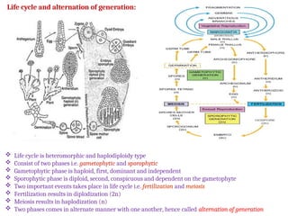 Life cycle of Mrachantia plant belonging to Hepaticopsida .ppt