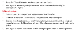 Life cycle of Mrachantia plant belonging to Hepaticopsida .ppt