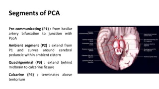 MRA & MRV.pptx