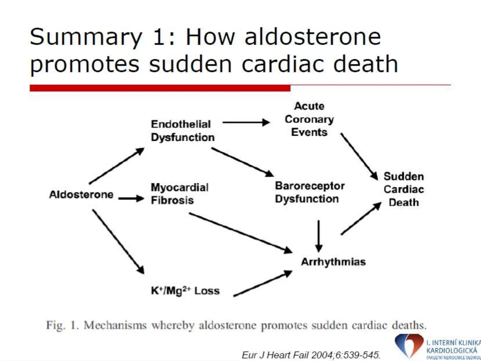 MINERALOCORTICOID RECEPTOR ANTAGONIST(MRA)-NEGLECTED PILLAR.pptx