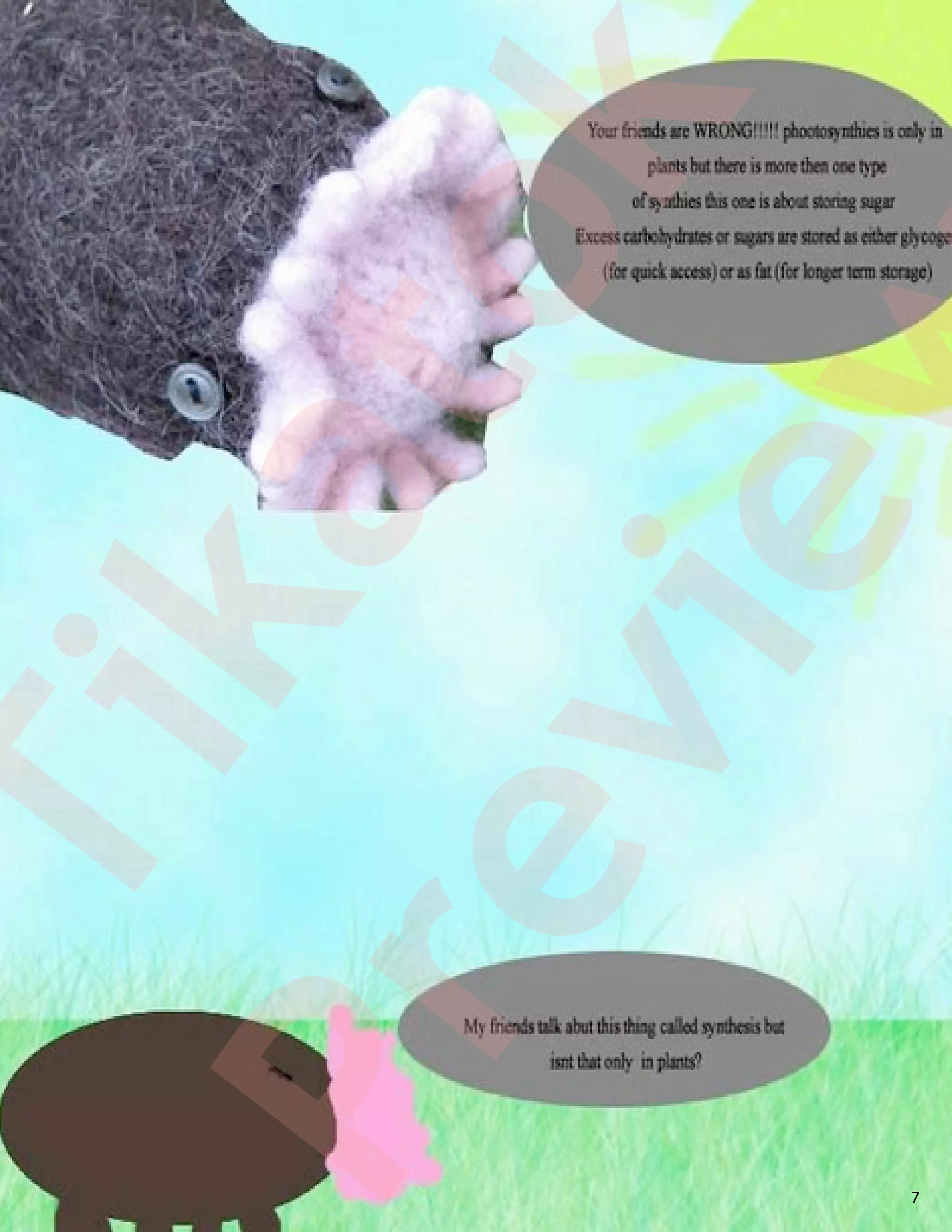 Star Nosed Moles | PDF