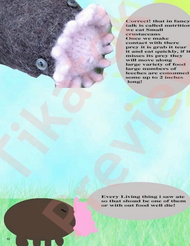 Star Nosed Moles | PDF