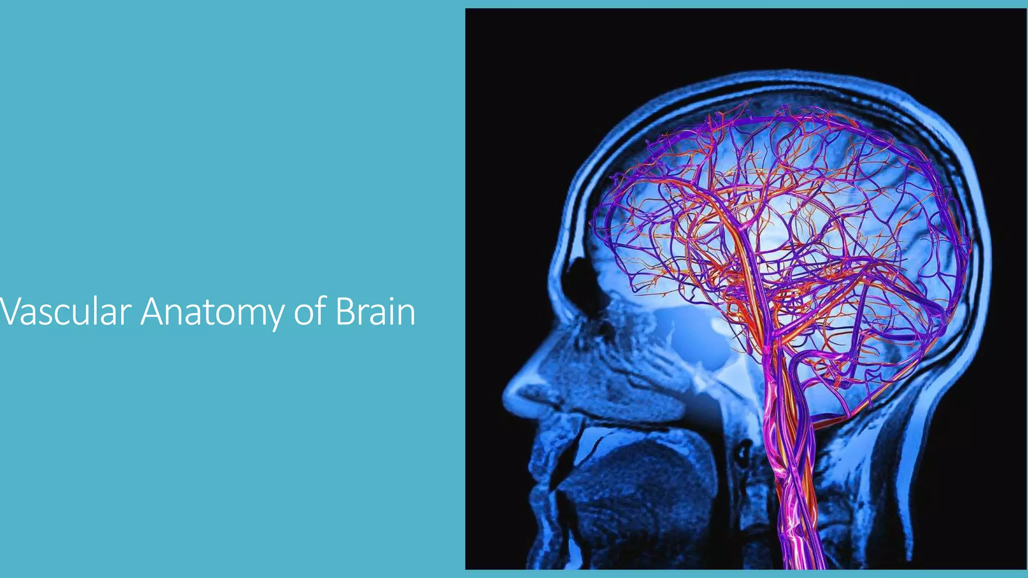 Magnetic Resonance Angiography and Venography | PPTX