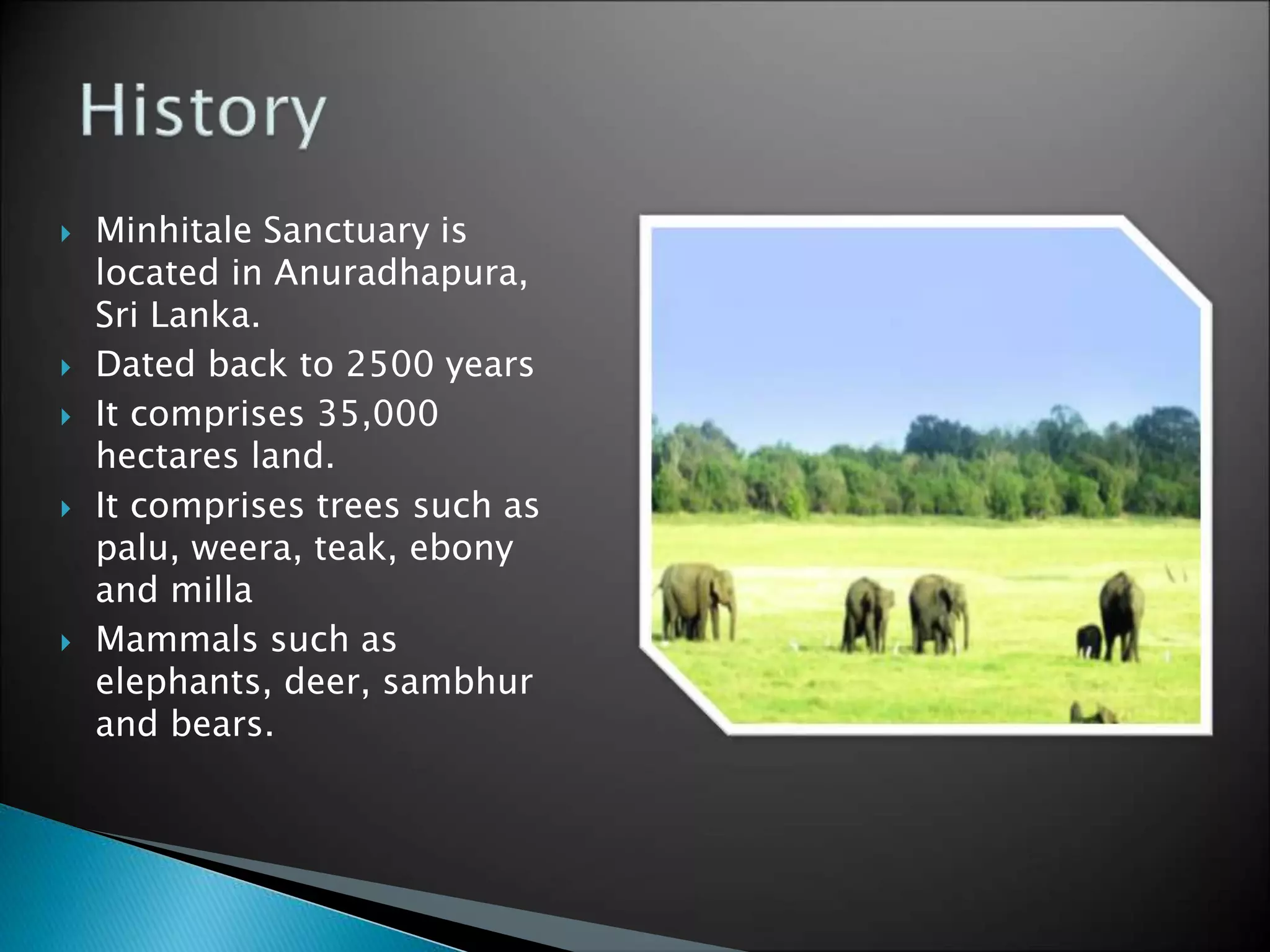 Wildlife sanctuaries | PPT
