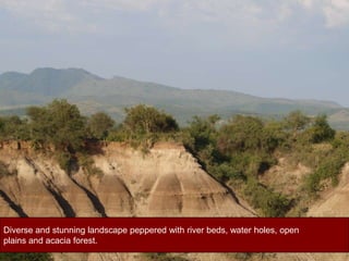 Manyara Ranch Overview Presentation | PPTX