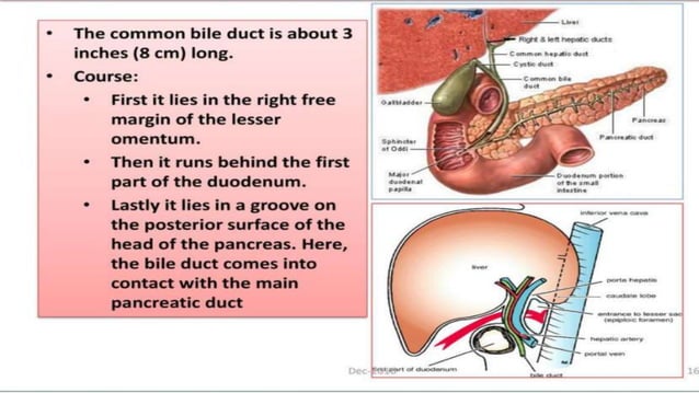 MRCP Magnetic Resonance cholangiopancreatography | PPTX | Lung and Respiratory Health | Diseases ...