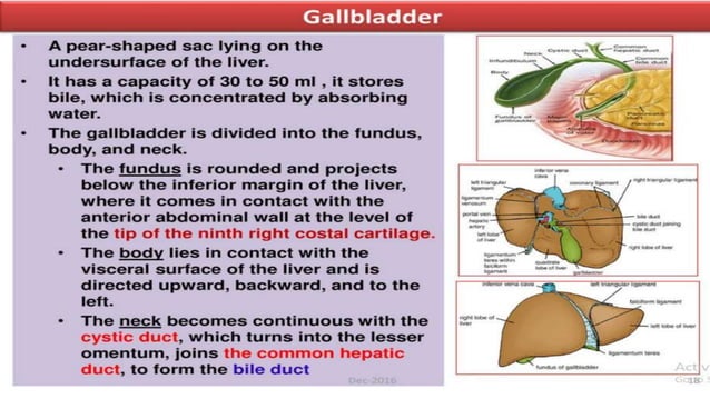 MRCP Magnetic Resonance cholangiopancreatography | PPTX | Lung and Respiratory Health | Diseases ...