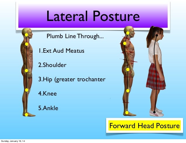 MRC Myobrace Beginner Course 2014 Part 2