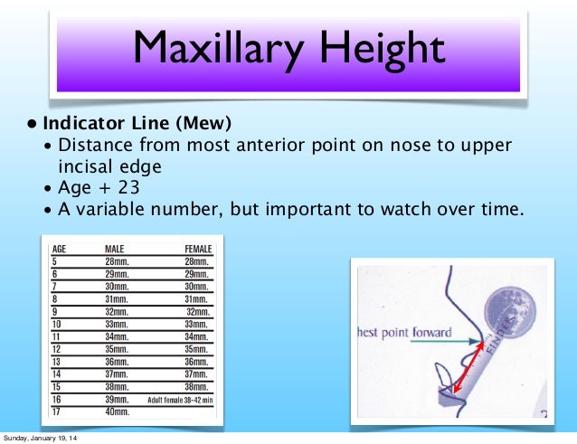 MRC Myobrace Beginner Course 2014 Part 2