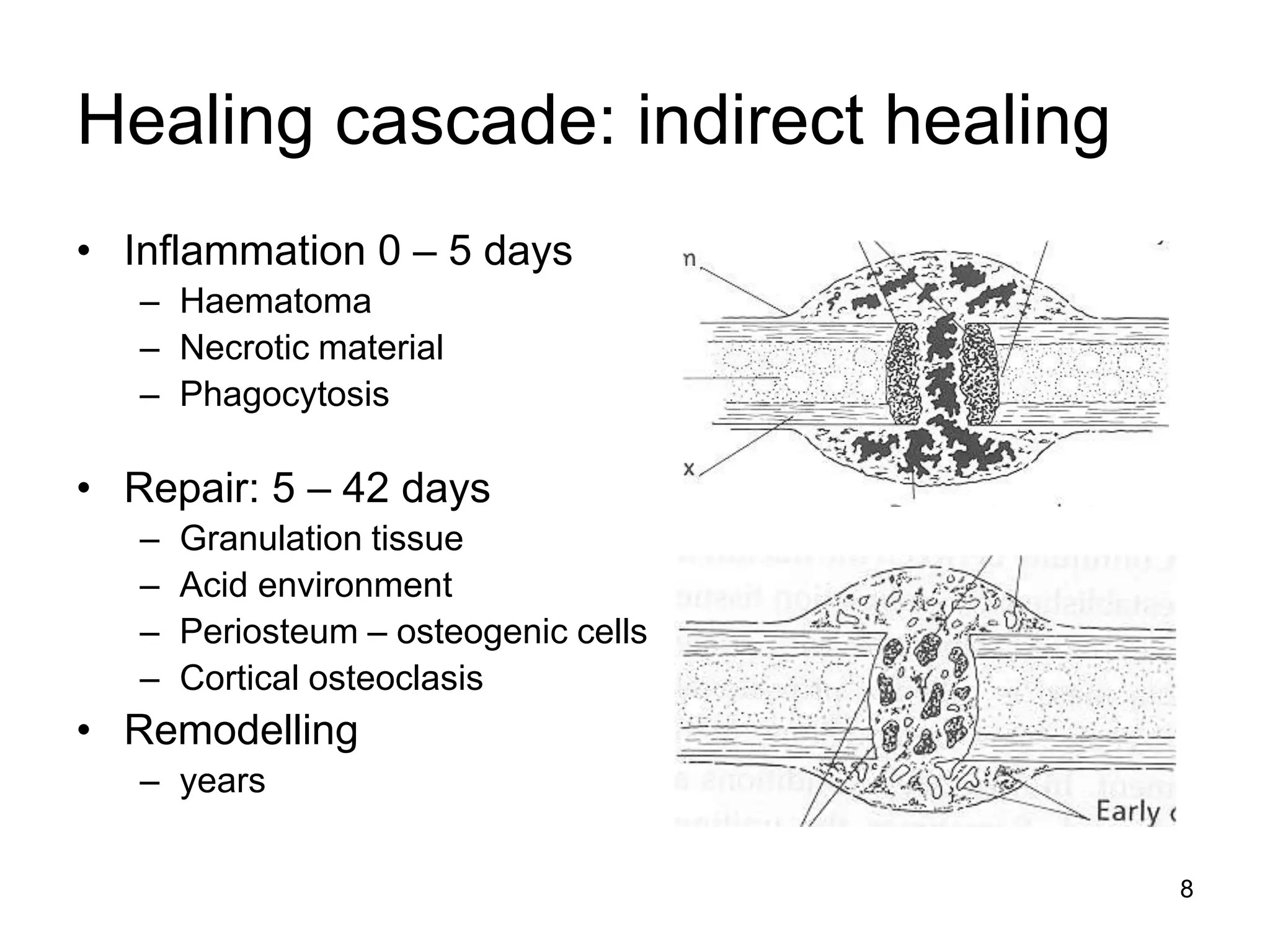 Mrc Sorthopaedicsandtraumalecture | PPTX | Death, Injury, or Military Conflict | Sensitive Topics