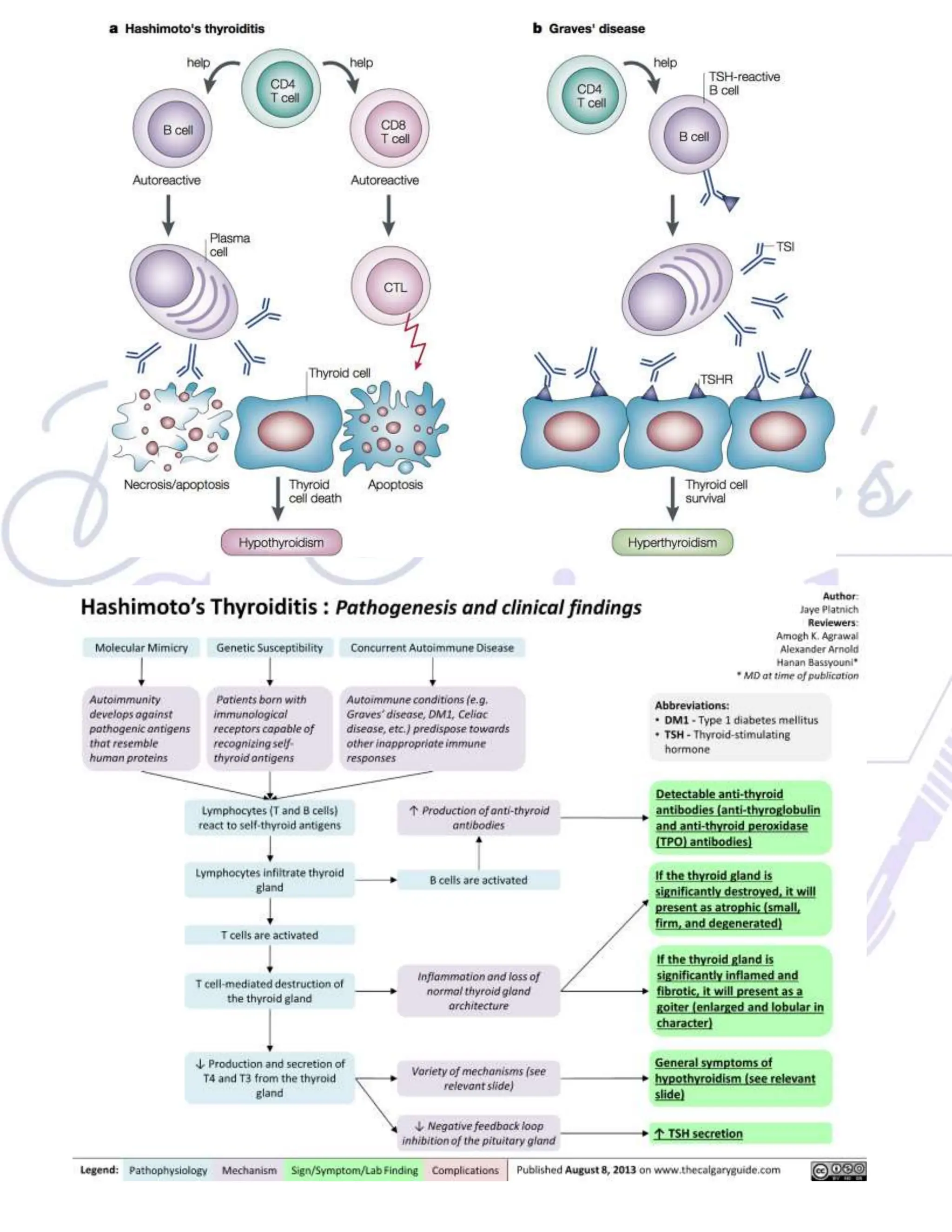 MRCS Recall January 2024 @ Dr.Shahriars Surgical Handicrafts | PDF | Thyroid Disorders ...