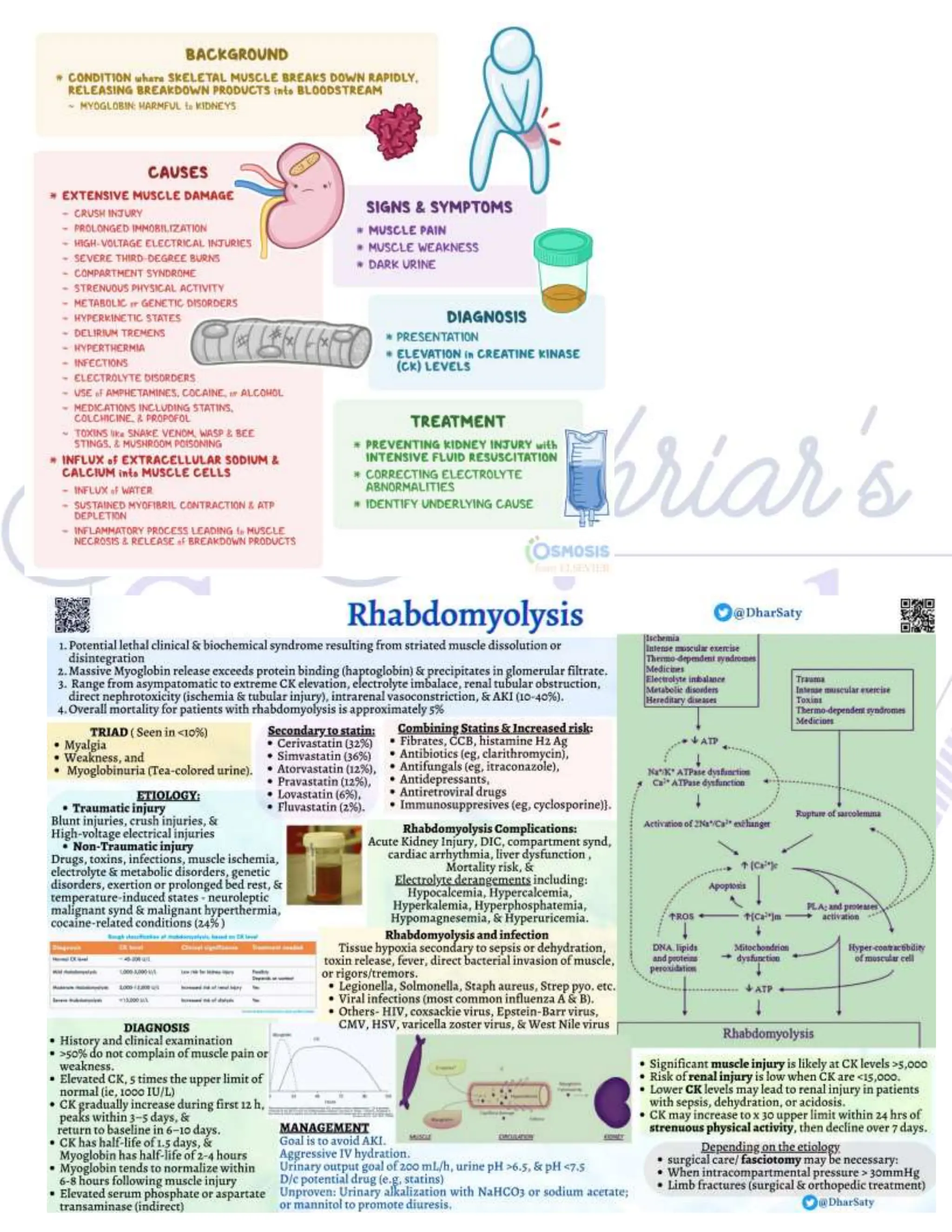 MRCS Recall January 2024 @ Dr.Shahriars Surgical Handicrafts | PDF | Thyroid Disorders ...