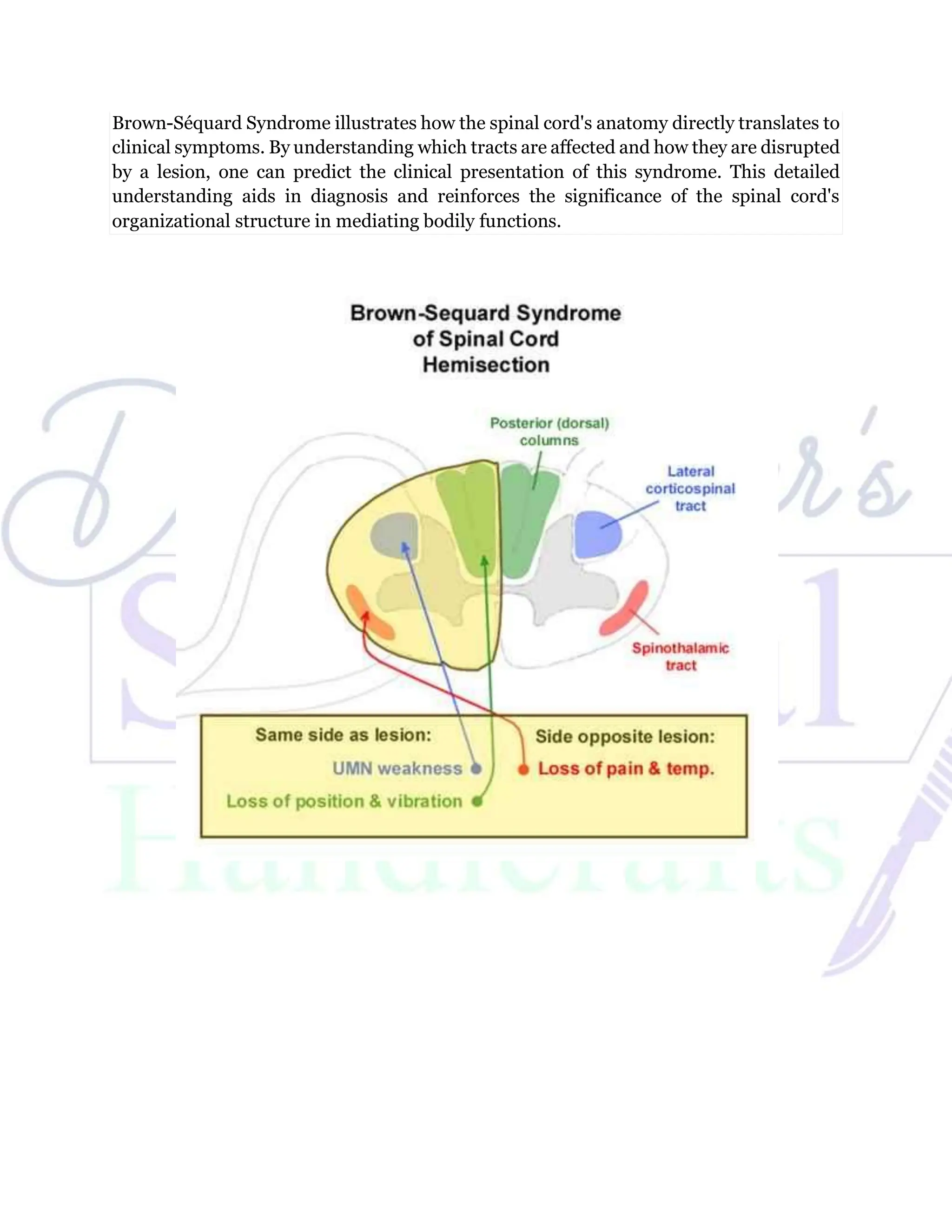 MRCS Recall January 2024 @ Dr.Shahriars Surgical Handicrafts | PDF | Thyroid Disorders ...