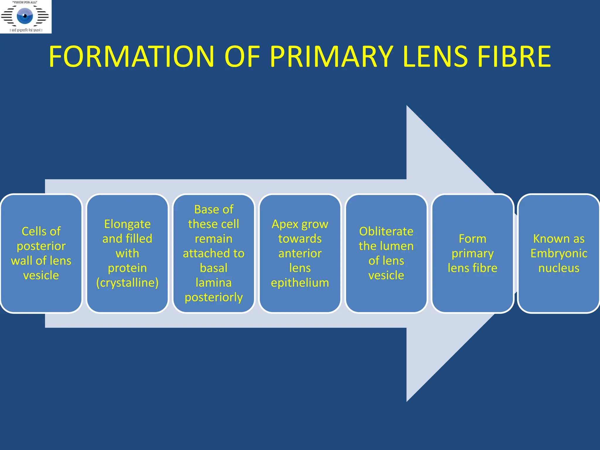 ANATOMY_OF_LENS presentation dhir hospital.pptx