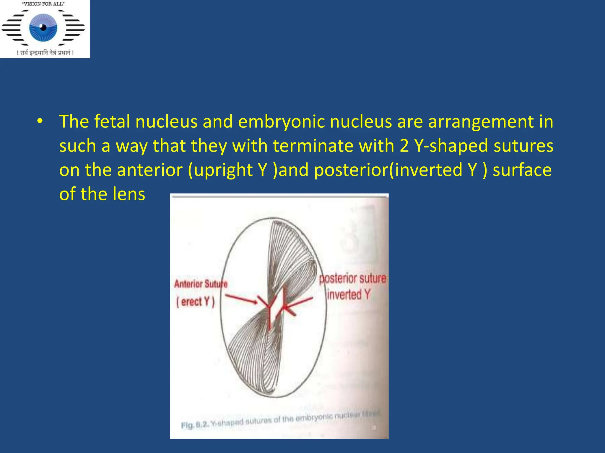 ANATOMY_OF_LENS presentation dhir hospital.pptx