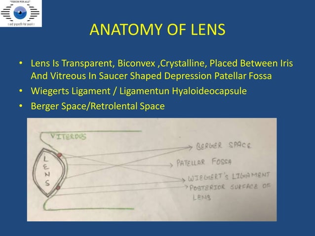 ANATOMY_OF_LENS presentation dhir hospital.pptx