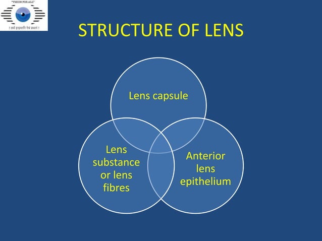 ANATOMY_OF_LENS presentation dhir hospital.pptx