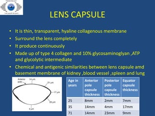 ANATOMY_OF_LENS presentation dhir hospital.pptx