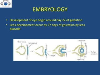 ANATOMY_OF_LENS presentation dhir hospital.pptx