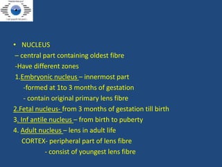 ANATOMY_OF_LENS presentation dhir hospital.pptx