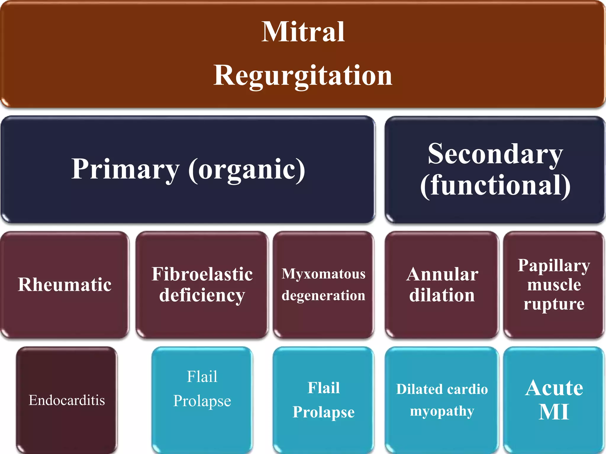 ECHOCARDIOGRAPHIC EVALUATION OF MITRAL VALVE DISEASE -MITRAL ...