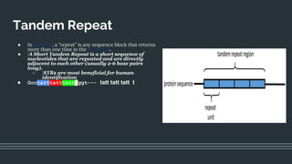 Mreps efficient and flexible detection of tandem repeats in dna | PPT