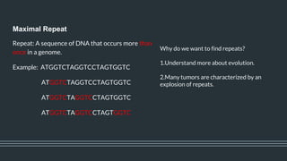 Mreps efficient and flexible detection of tandem repeats in dna | PPT