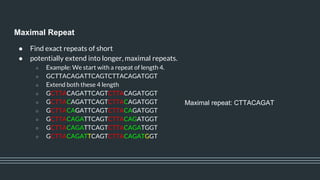 Mreps efficient and flexible detection of tandem repeats in dna | PPT
