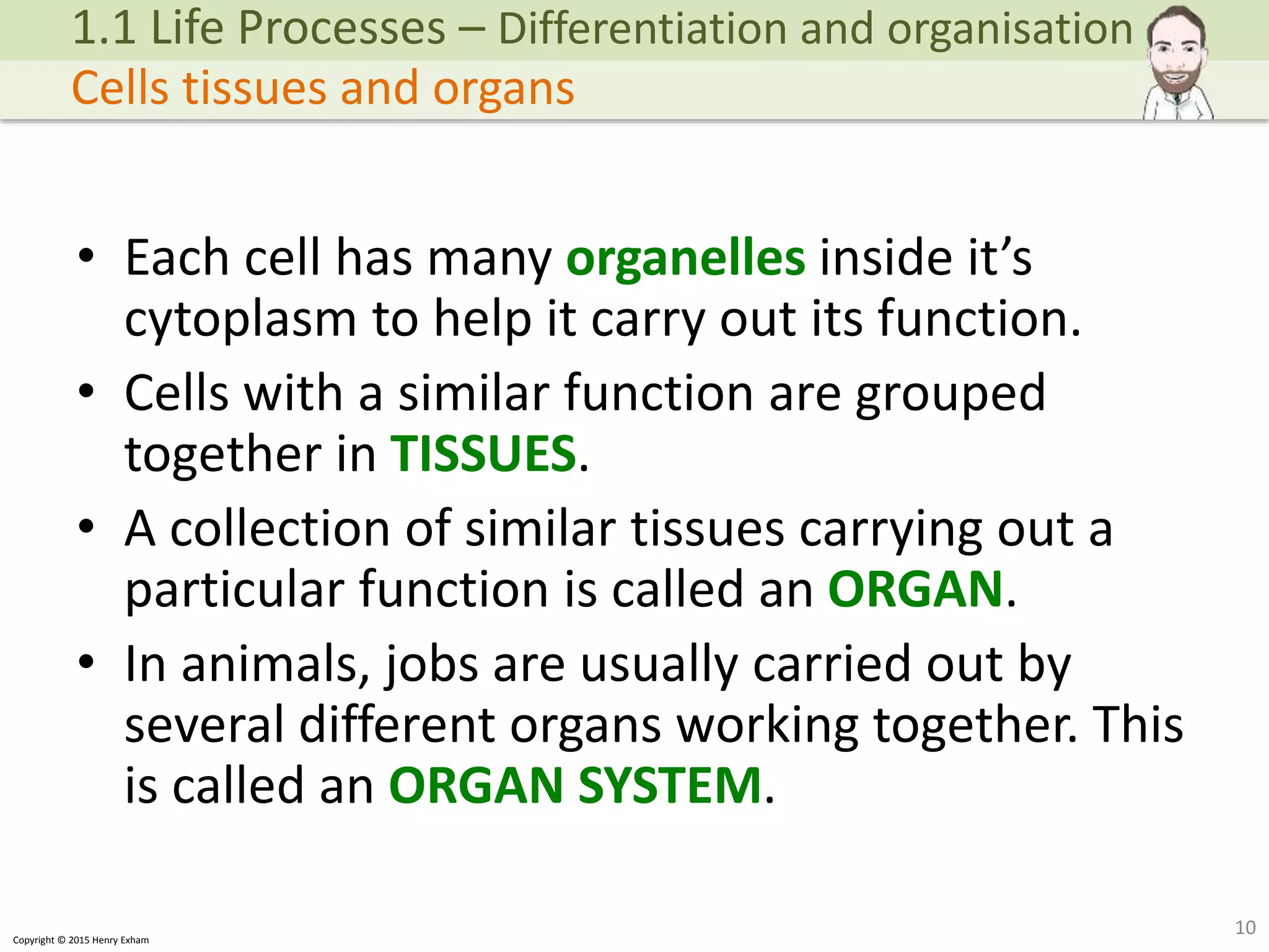 Mr Exham IGCSE - Cell Differentiation and Organisation | PPTX