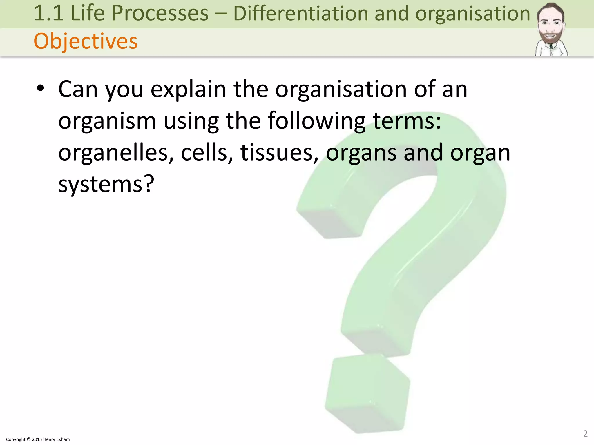 Mr Exham IGCSE - Cell Differentiation and Organisation | PPTX