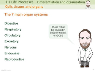 Mr Exham IGCSE - Cell Differentiation and Organisation | PPTX