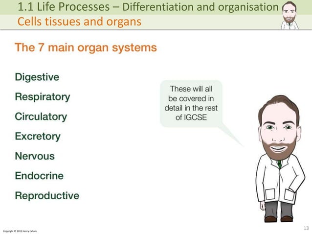 Mr Exham IGCSE - Cell Differentiation and Organisation | PPTX ...