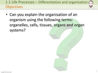 Mr Exham IGCSE - Cell Differentiation and Organisation | PPTX