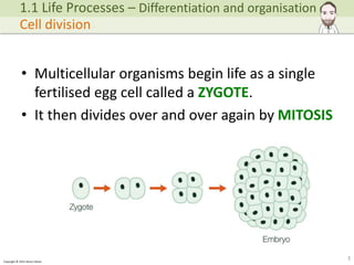 Mr Exham IGCSE - Cell Differentiation and Organisation | PPTX