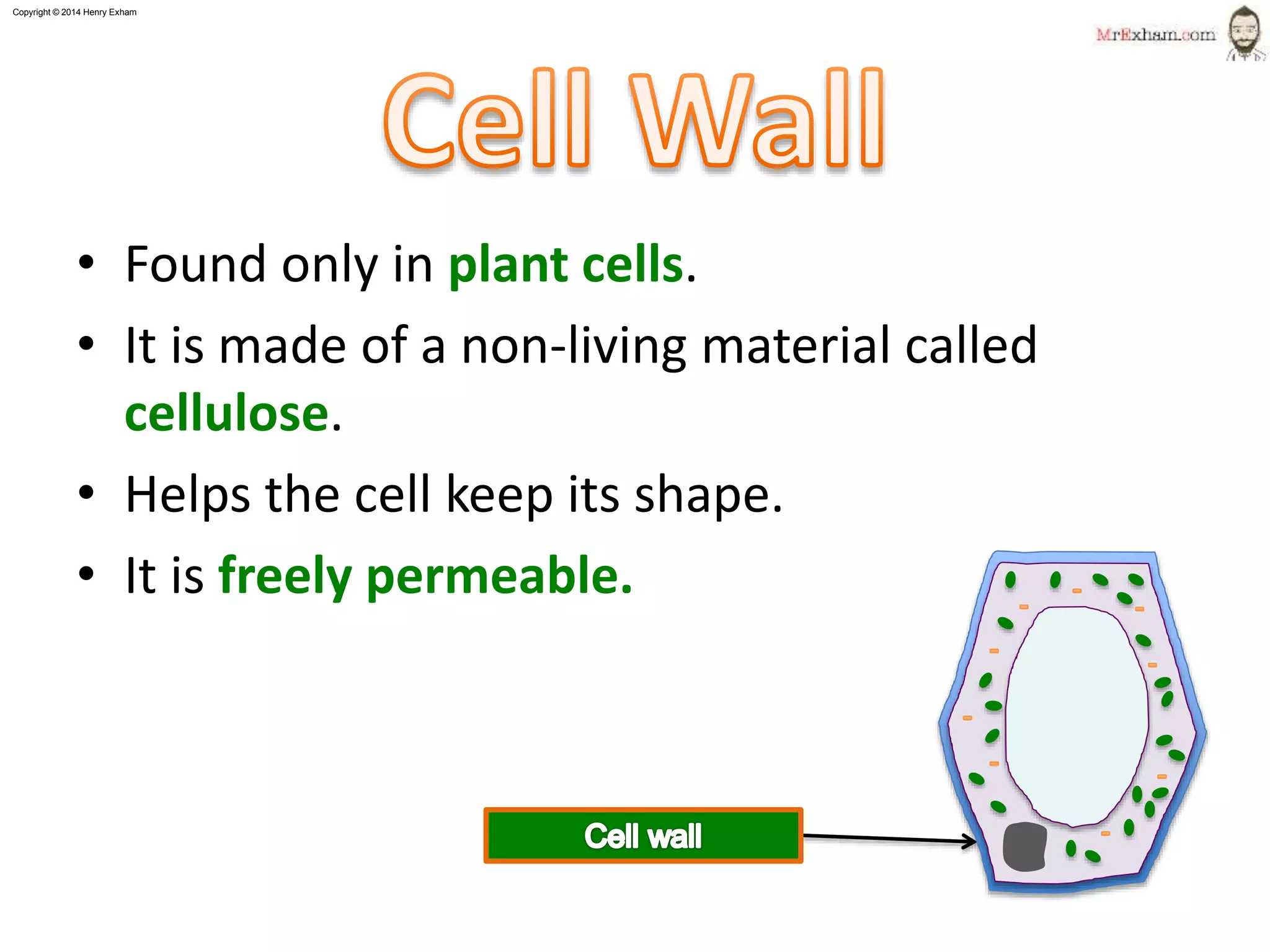 Mr Exham IGCSE Biology - Cells | PPTX