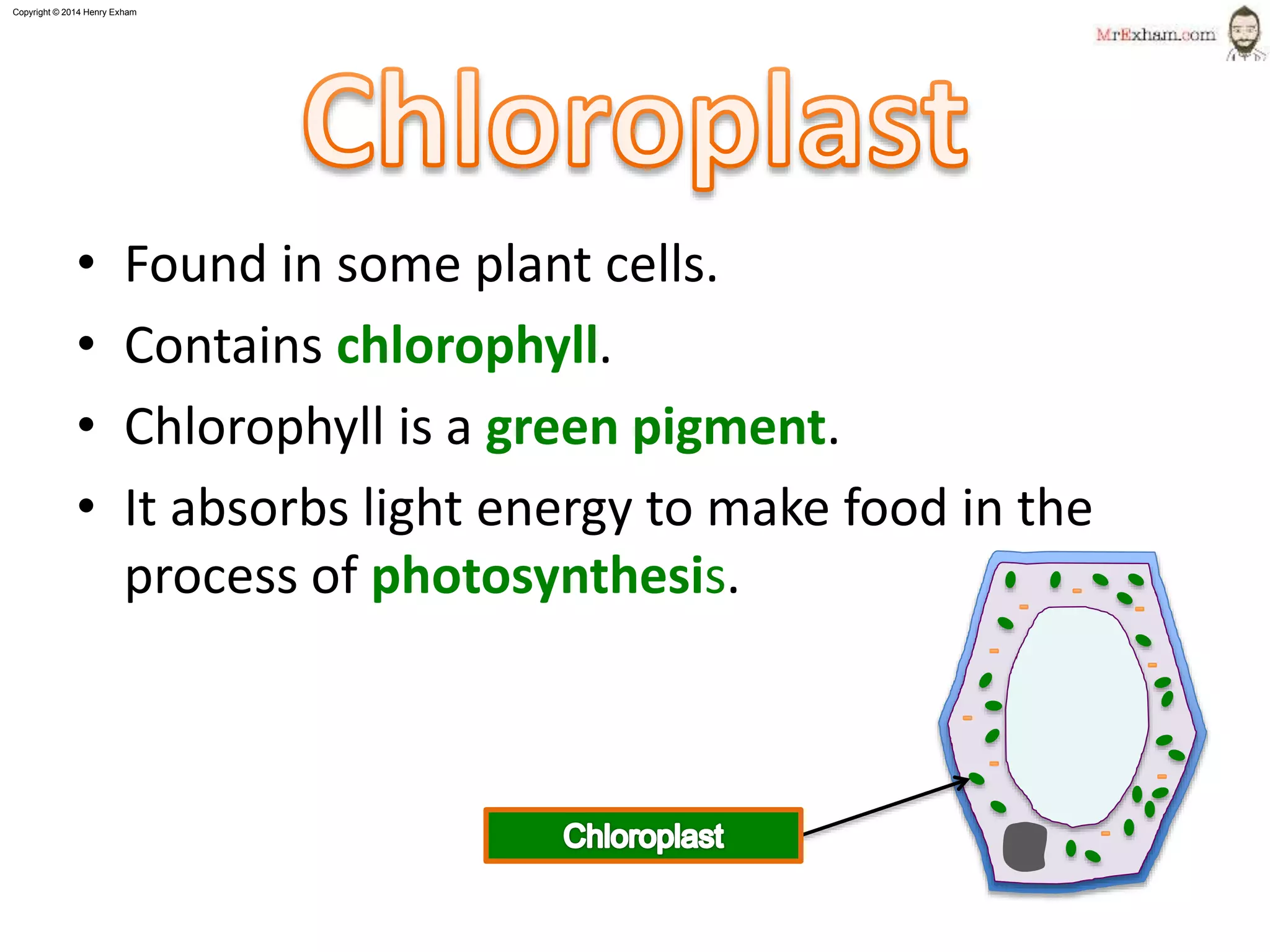 Mr Exham IGCSE Biology - Cells | PPTX