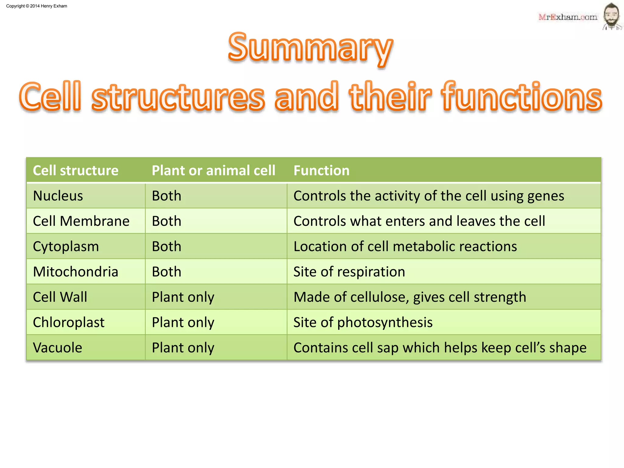 Mr Exham IGCSE Biology - Cells | PPTX