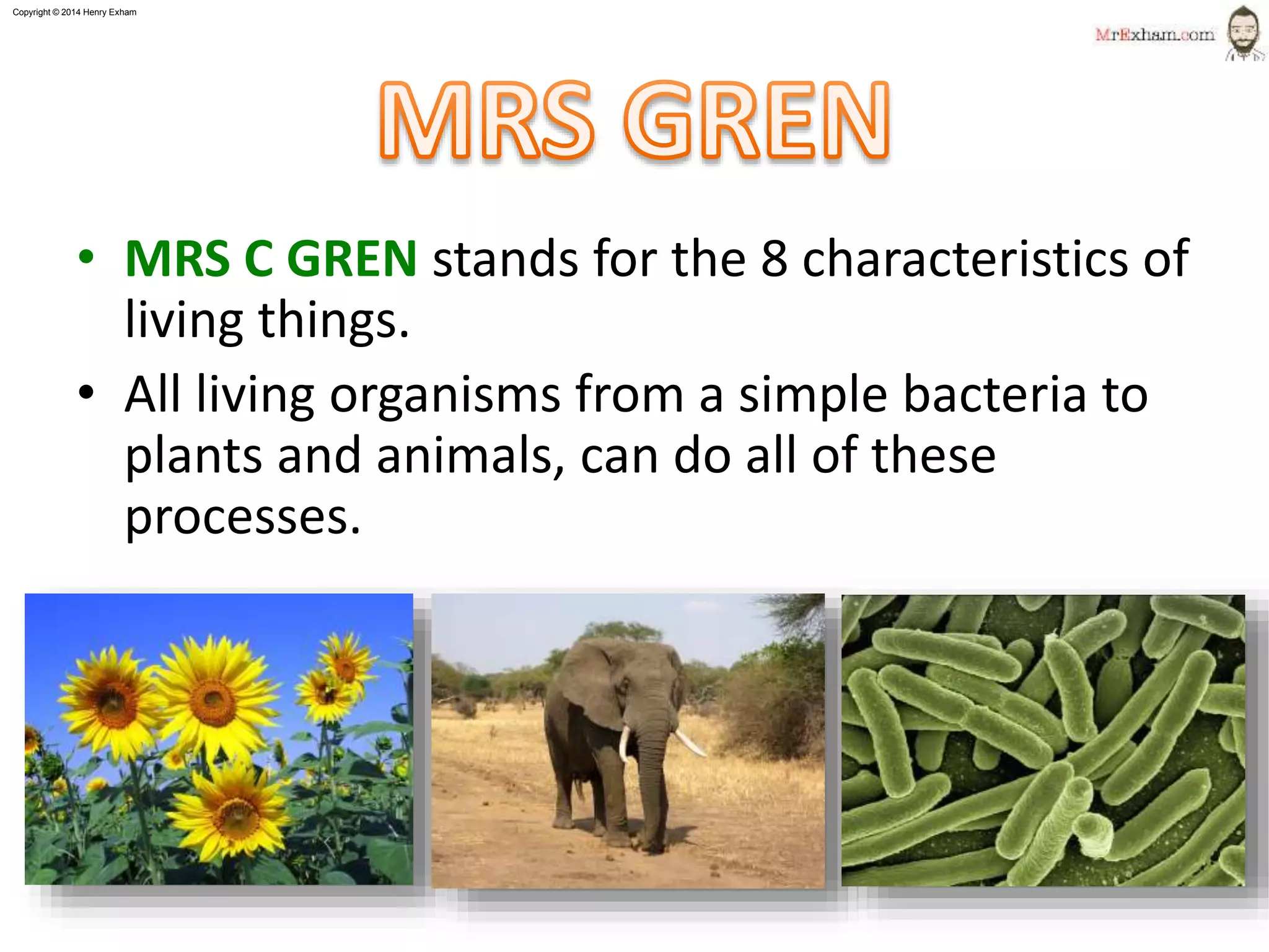 Mr Exham IGCSE Biology - Cells | PPTX